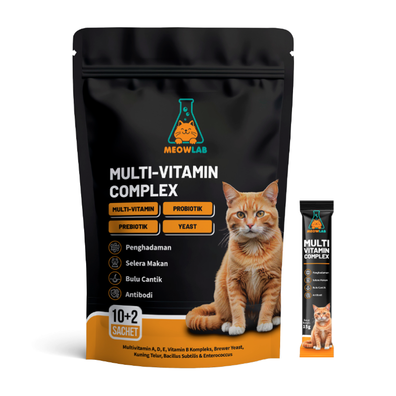 Meow Lab – Pilihan No 1